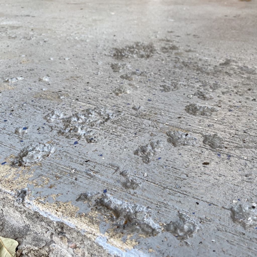 Get A Free, No-Obligation Consultation and Estimate | Artisan Garage Floors